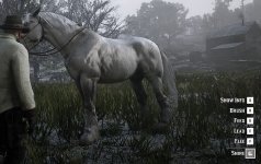 Script - REDM | Horse interactions | VAG - World's largest FiveM ...